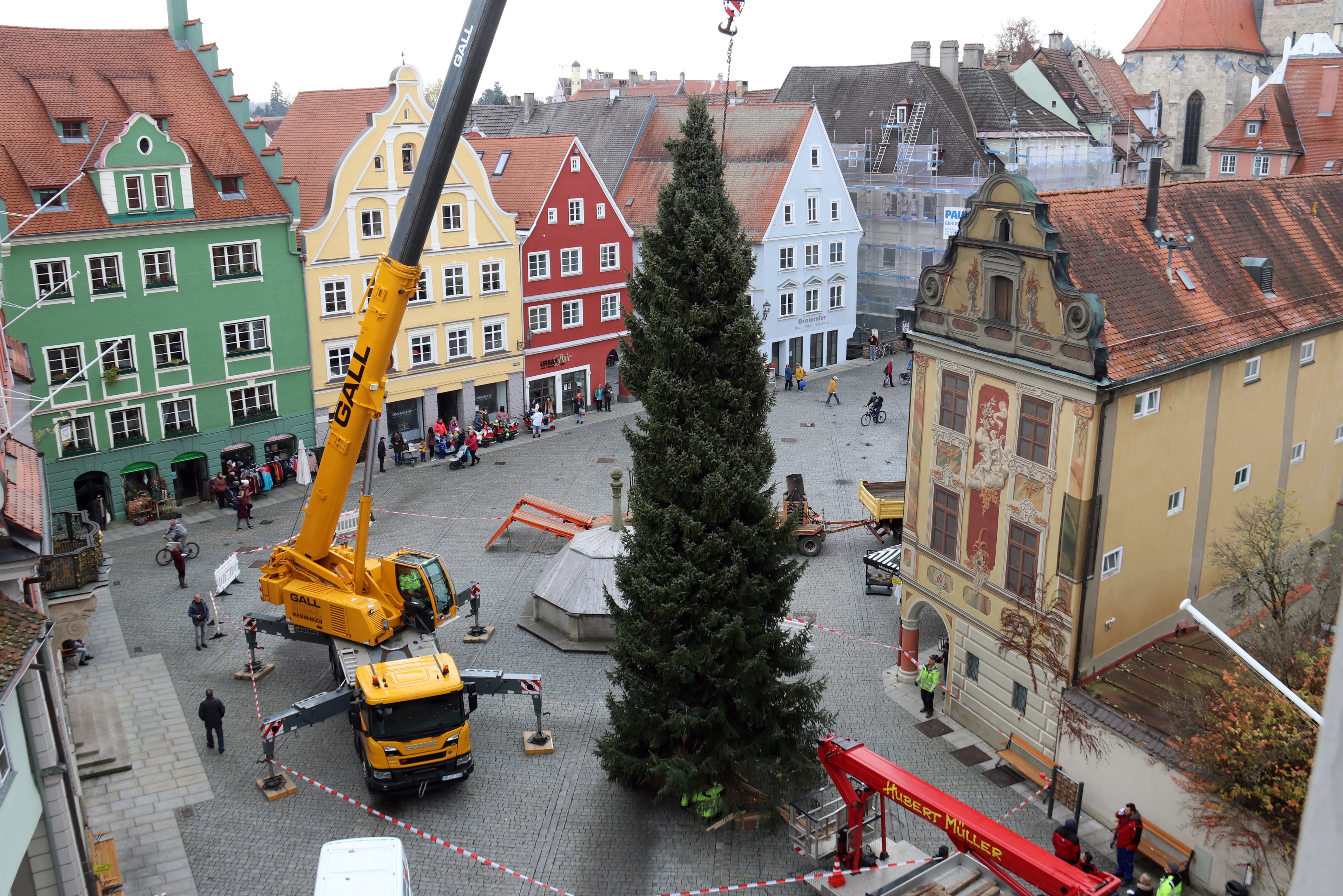 Der Christbaum steht!